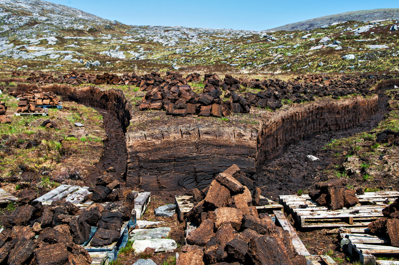 Scottish Peat with Derek Murray – History, Eh?