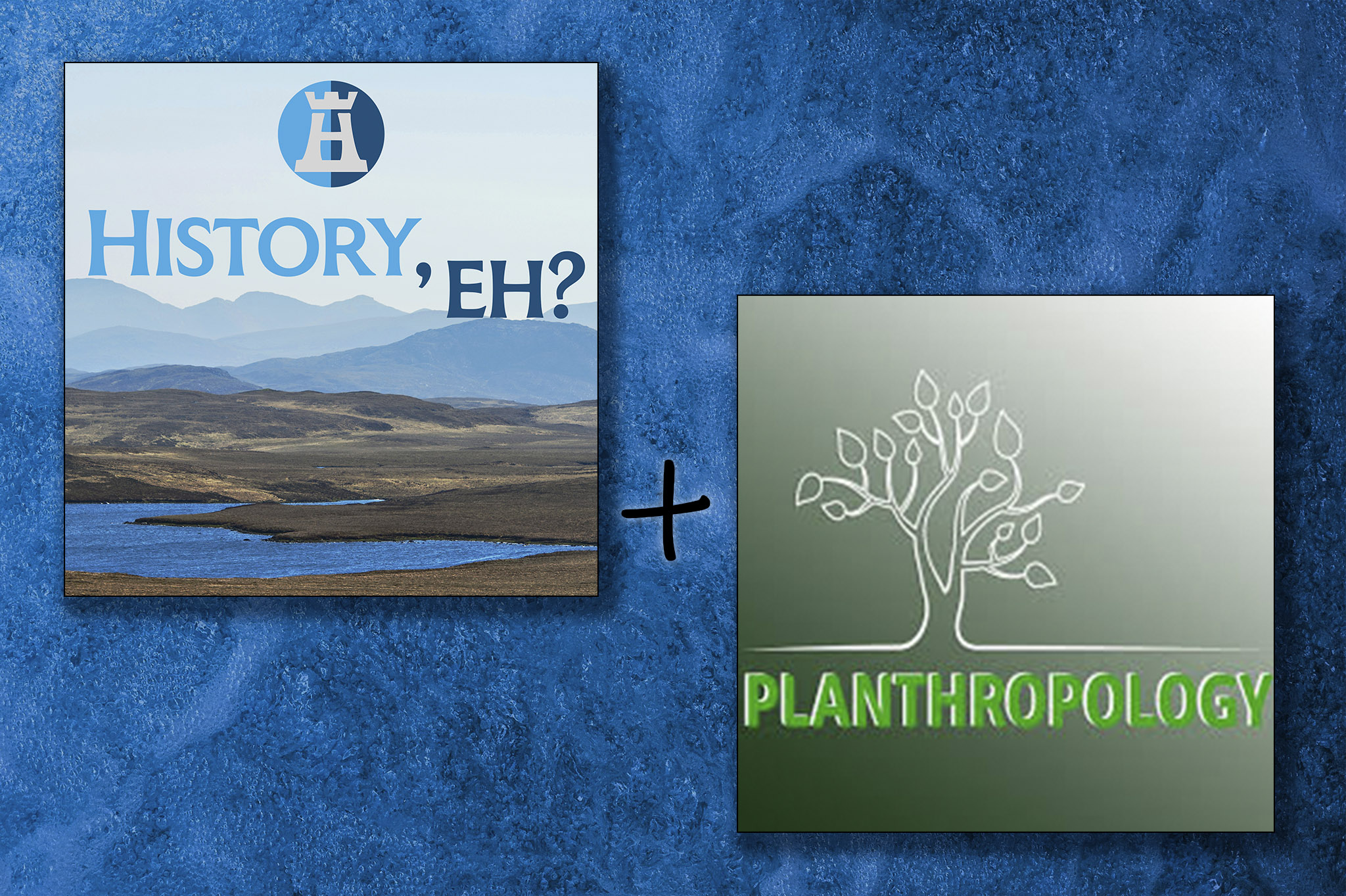 Gardens with Dr. Vikram Baliga – History, Eh?